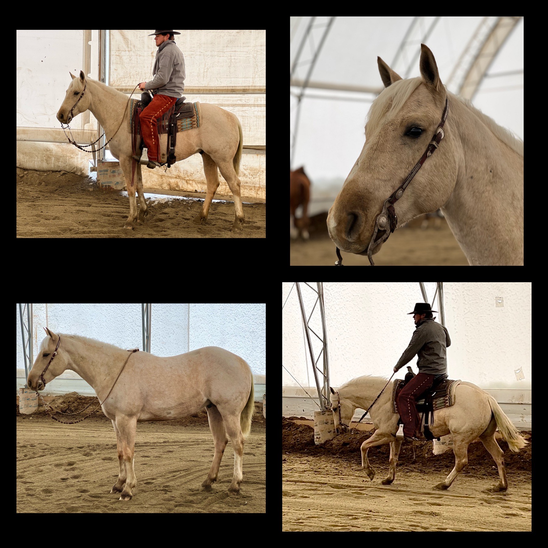 By Lot Number – Salmon Select Sale